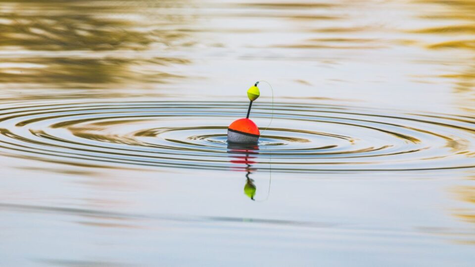 Do You Need a Float for Fishing? If So, When and Why?